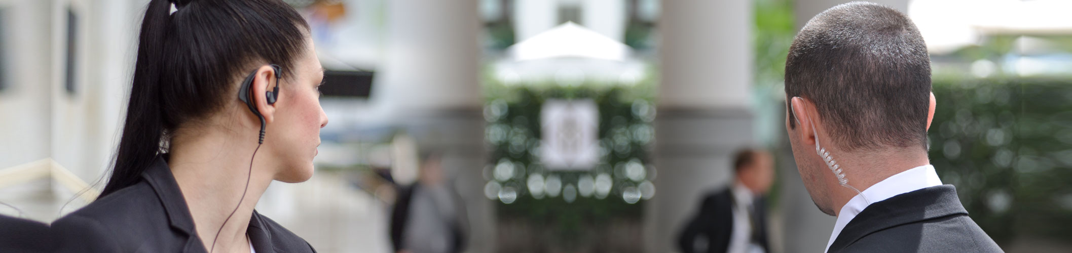 Watchful Eye Security LTD