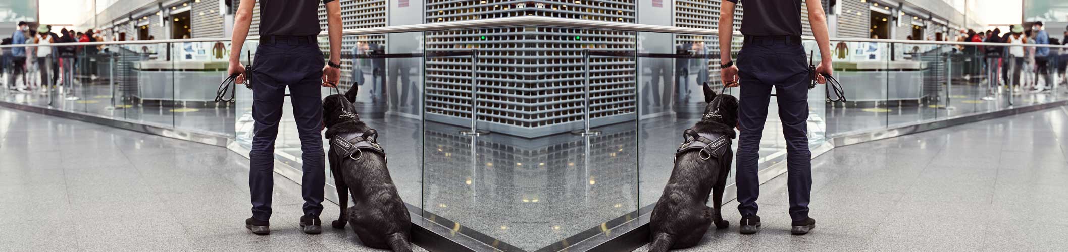 Watchful Eye Security LTD