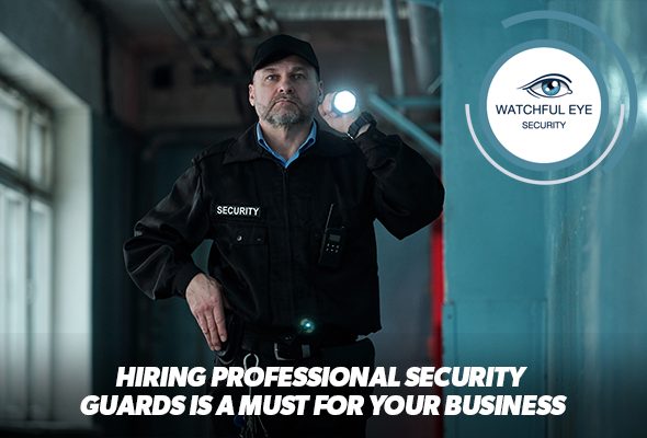 Watchful Eye Security LTD